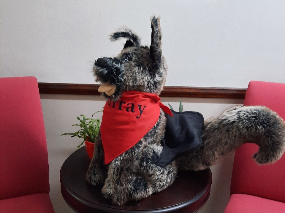 Our Mascot | Blairgowrie Primary School